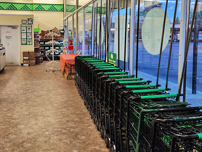 Shopping carts ready for serious bargain hunting expeditions, built for customers who understand that smart shopping requires adequate transportation.