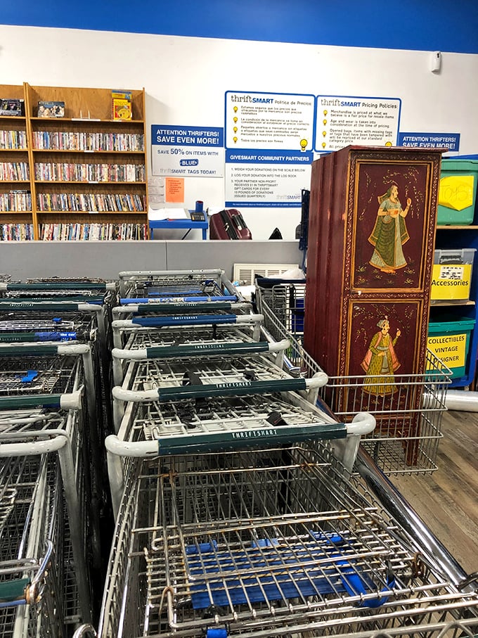 Shopping carts lined up with military precision beneath signs explaining the color tag system&mdash;the secret codex of serious thrifters.