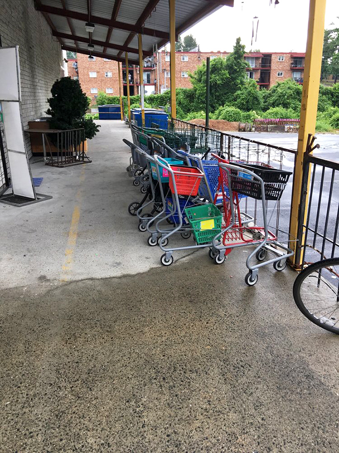 Even the shopping carts have personality here&mdash;a colorful convoy ready to help you haul home more inspiration than you planned for.