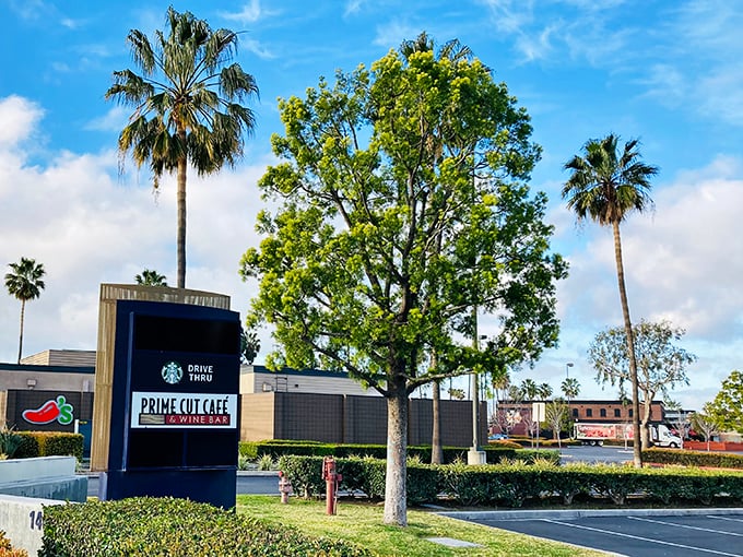 Even the signage has California style &ndash; palm trees standing sentinel over a restaurant that understands the art of hospitality.