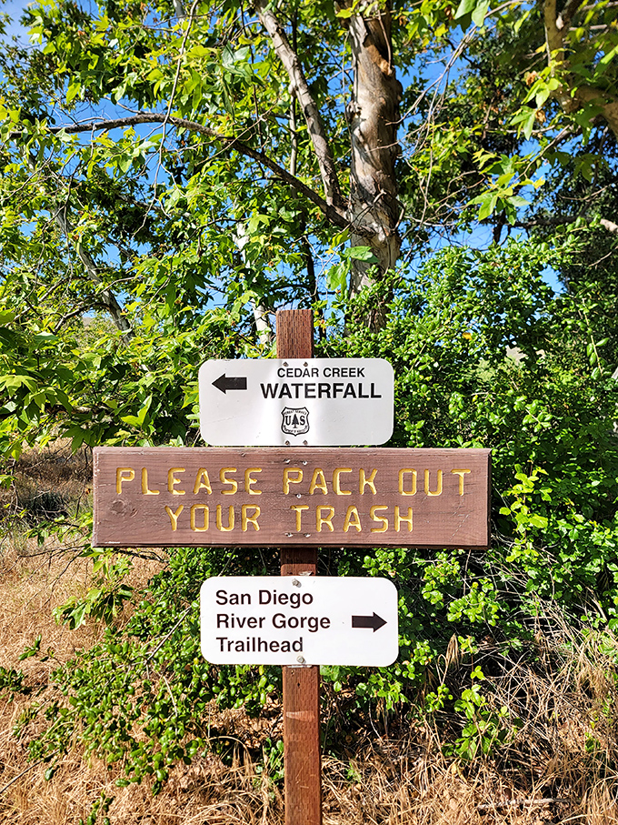 Nature's traffic signs: Follow these wooden arrows to find where the Cleveland National Forest has been hiding one of its best features.