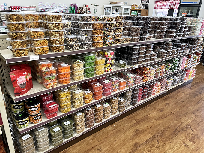 Snack heaven stretches before you like the promised land. Containers of sweet, salty, and everything in between, organized with military precision.