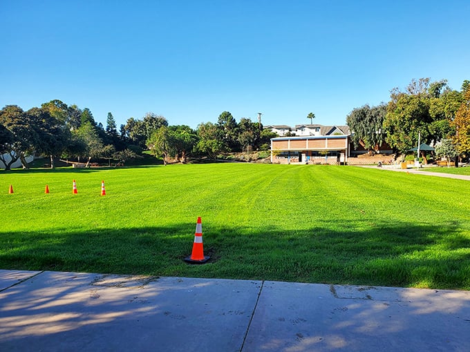 South Park's manicured lawns provide the perfect backdrop for tai chi sessions and impromptu neighborhood gatherings.