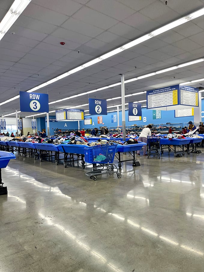 The organized chaos of bin shopping&mdash;where patience and persistence are rewarded with discoveries that retail therapy can't match.