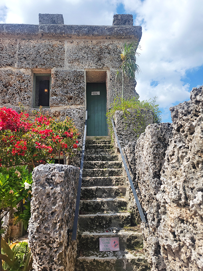 These coral steps lead to a mysterious green door, like something from a fairy tale where the protagonist discovers magical powers.