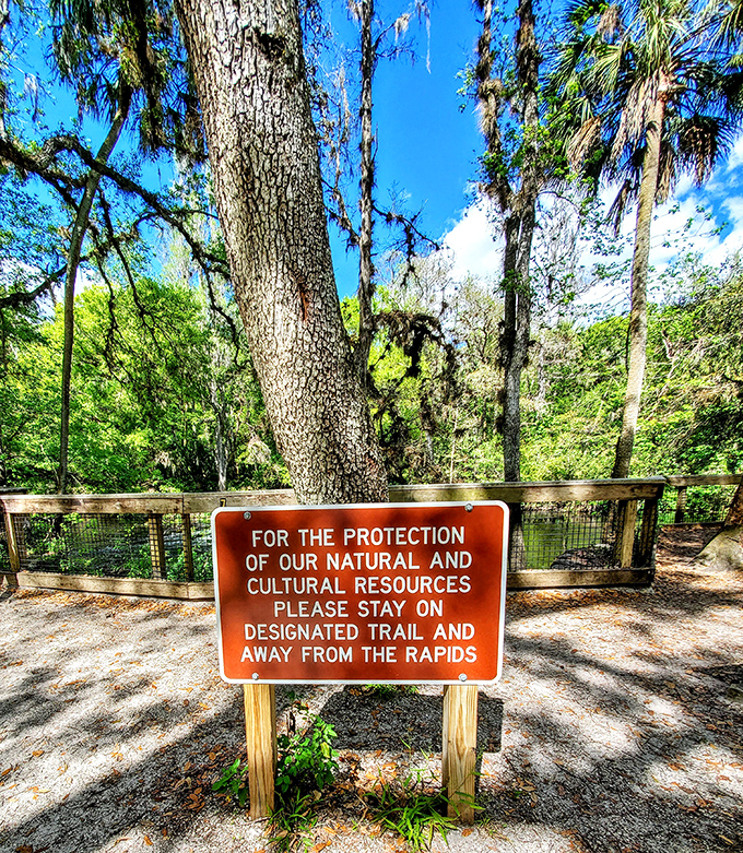 The sign politely reminds visitors to stay on trails, because in Florida, wandering off-path might mean an unexpected alligator meet-and-greet.