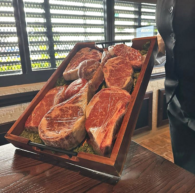 The meat display that launches a thousand daydreams. Prime cuts waiting for their moment of flame-kissed glory.