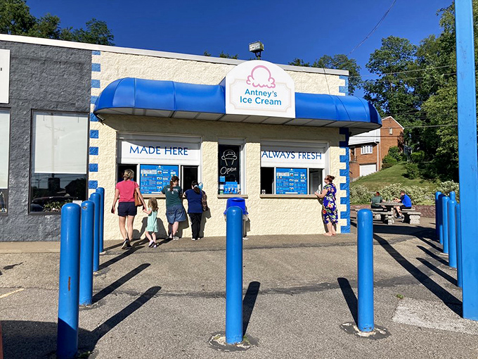 Morning sunshine bathes Antney's in golden light, as if the universe is highlighting exactly where you should be heading today.