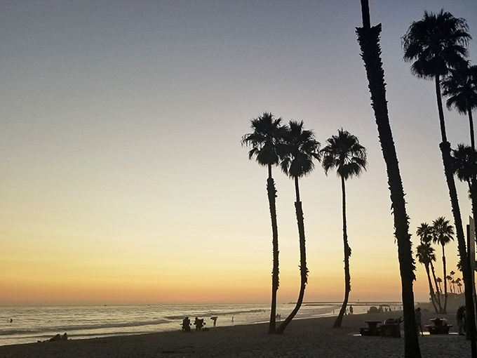 Sunset paints the Oceanside sky in impossible colors, silhouetting palm trees against the fading light in a scene too perfect for words.