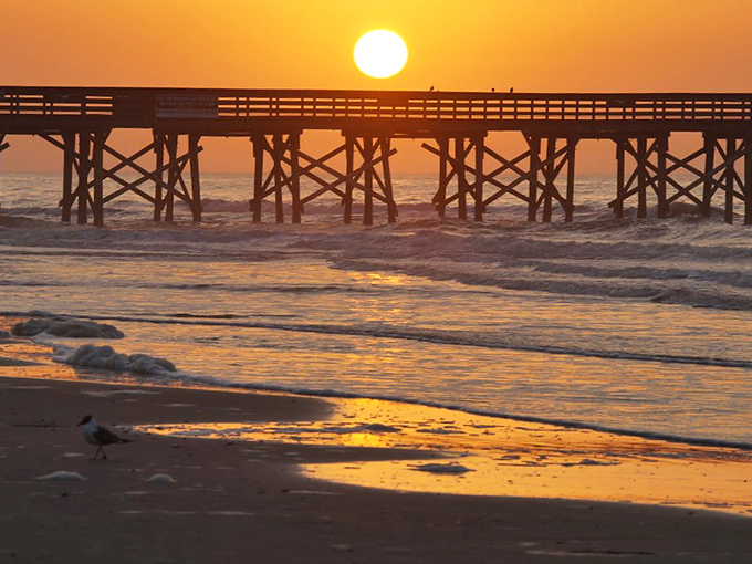 Nature's finest light show happens daily at the pier&mdash;no tickets required, just bring your sense of wonder.