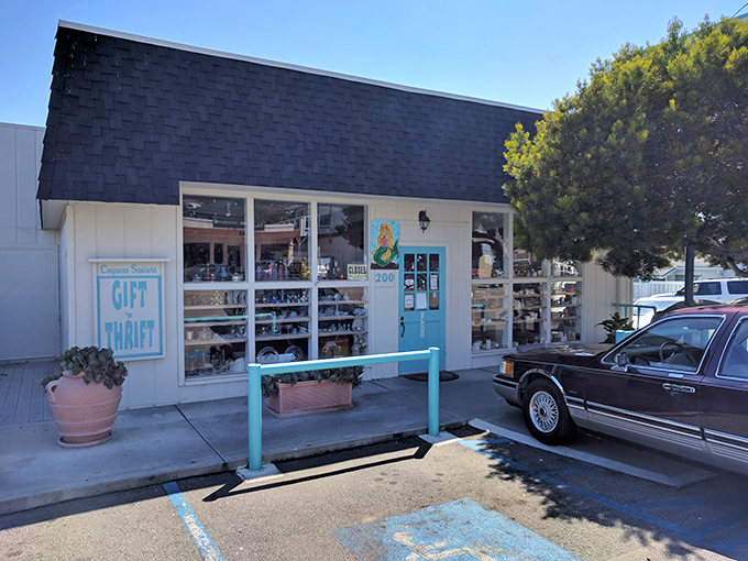 Thrift stores in beach towns are treasure chests where one person's castoffs become another's coastal-themed living room conversation piece.