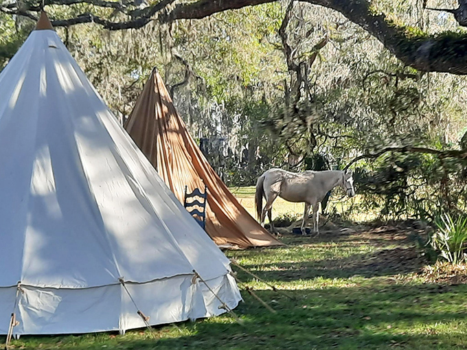 During reenactments, period-accurate dwellings transport visitors back to the 1830s. Even the horses seem to appreciate the historical authenticity!