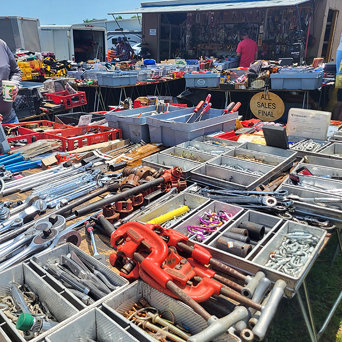 Tool heaven for the DIY enthusiast – where vintage pipe wrenches and hammers find new purpose in hands eager for projects.