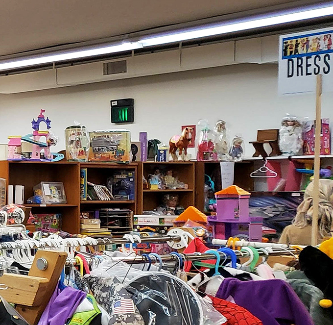 Toy paradise or parent's nightmare? These shelves hold childhood dreams at prices that won't break the college fund.