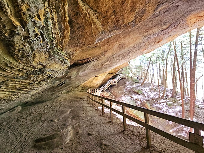 Walking through Ash Cave feels like entering a cathedral designed by Mother Nature herself. The scale humbles even the most jaded traveler.