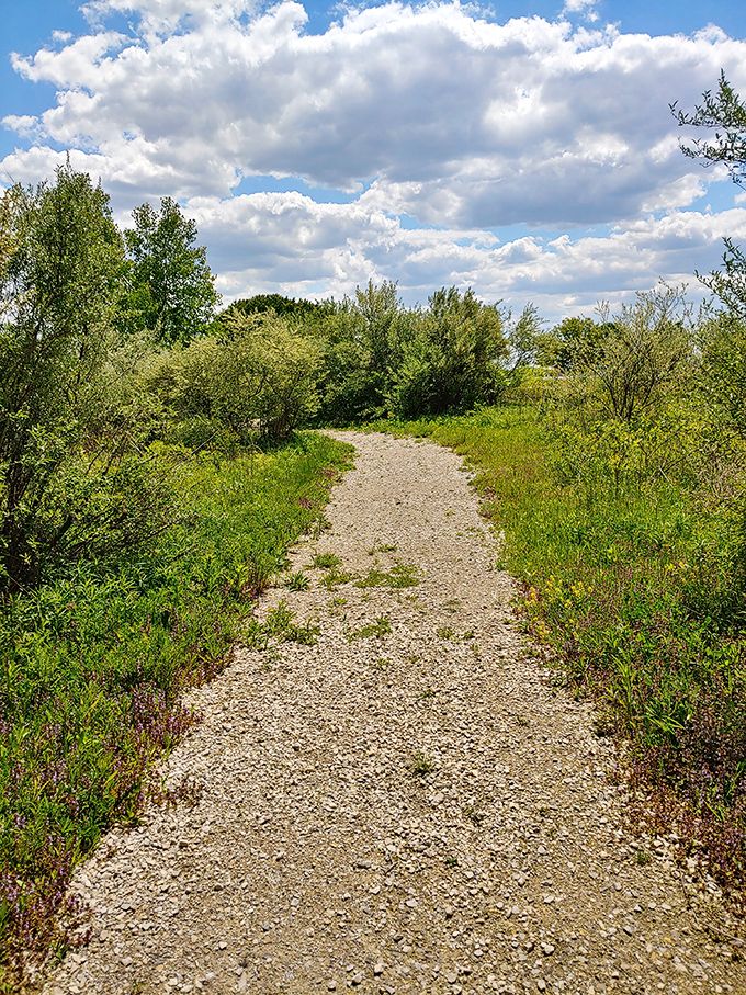 The trail whispers promises of adventure, or at least a decent workout to justify tonight's ice cream.