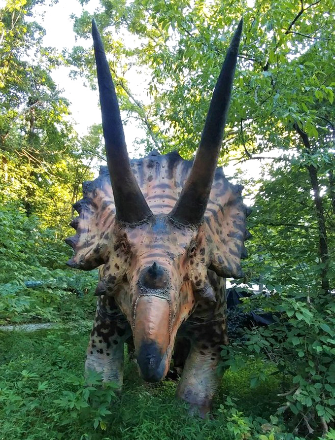 A close-up of another Triceratops model showcases the impressive detail in these handcrafted creations, with massive horns pointing skyward through the trees.