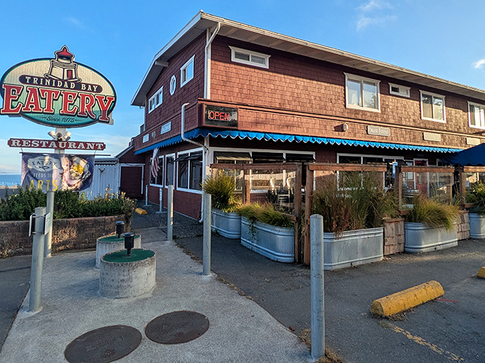 The kind of place where the coffee comes with a side of ocean views and the locals actually mean it when they ask how you're doing.
