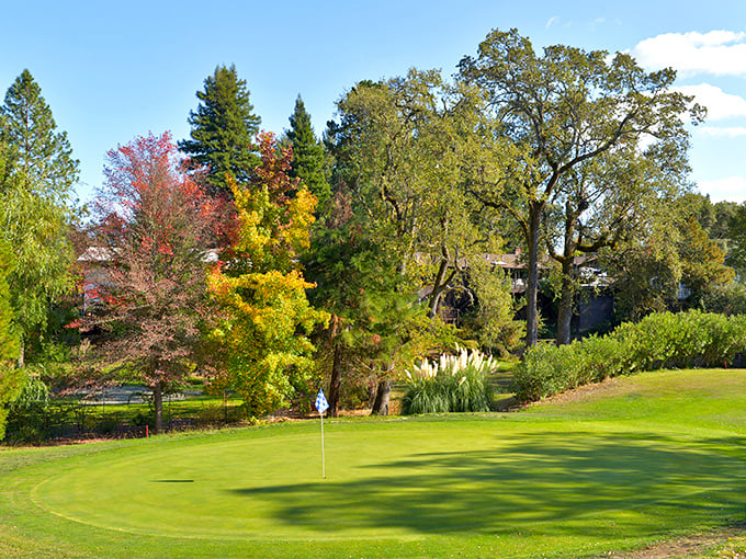 Ukiah Valley Golf Course showcases fall colors that frame perfectly manicured greens, proving that nature and recreation create a partnership as satisfying as a well-executed swing.