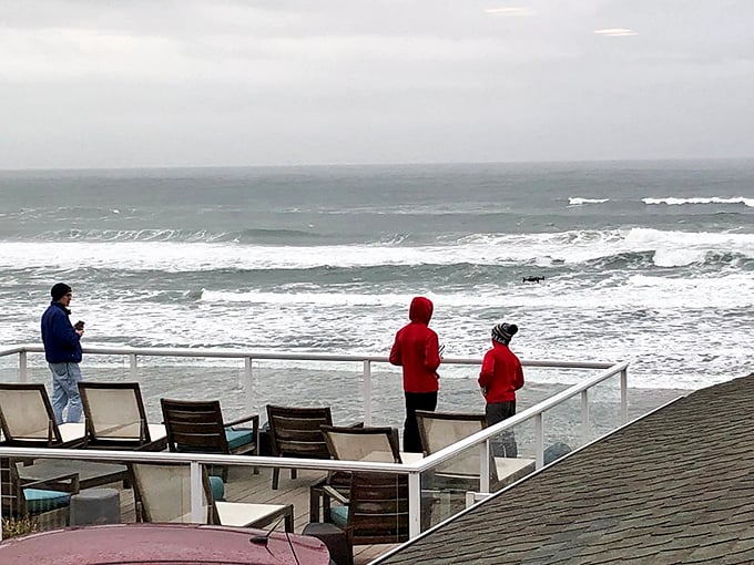 Coffee with a view that makes you forget what you were complaining about yesterday. Oceanside's deck scenes redefine "room with a view."