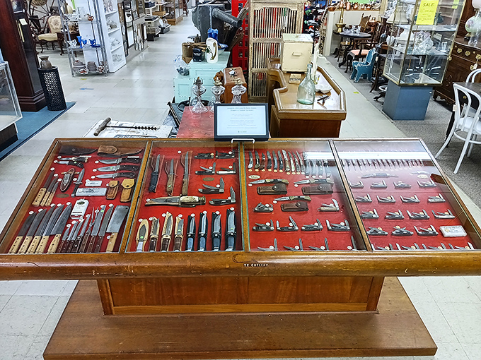 A craftsman's knife collection displays decades of precision tools, each blade telling its own sharp story.