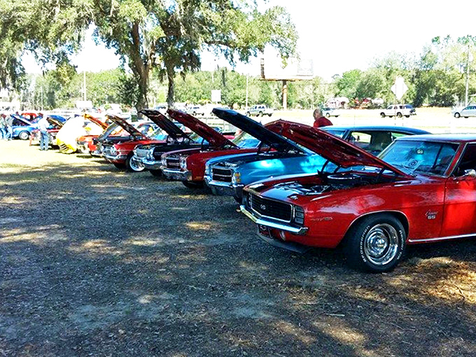 Detroit's finest, lined up like a timeline of American automotive history. Each hood hides stories and engineering that defined generations.