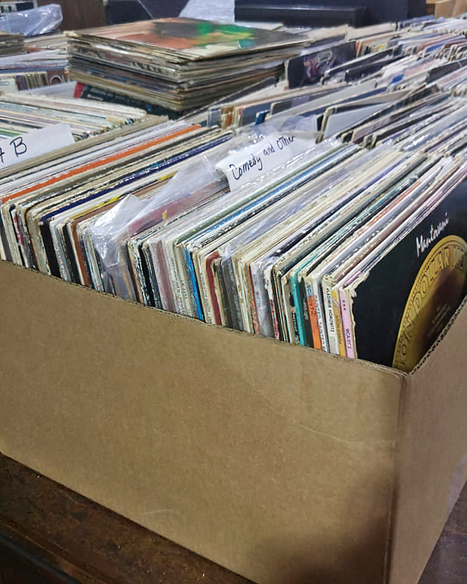 Vinyl treasures organized by genre, where forgotten albums wait for their chance to spin again on someone's turntable.