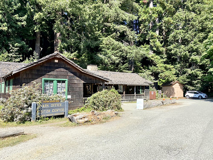 The visitor center blends seamlessly into its surroundings &ndash; like it grew from the forest floor alongside the trees it celebrates.