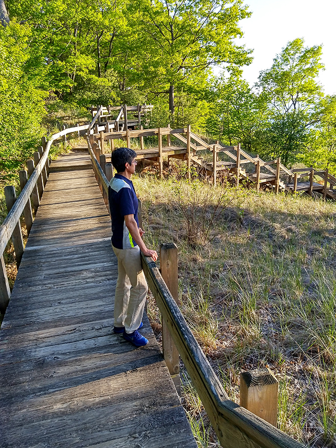 The elevated boardwalk offers hikers a journey through multiple ecosystems and countless opportunities to pretend you're not winded.