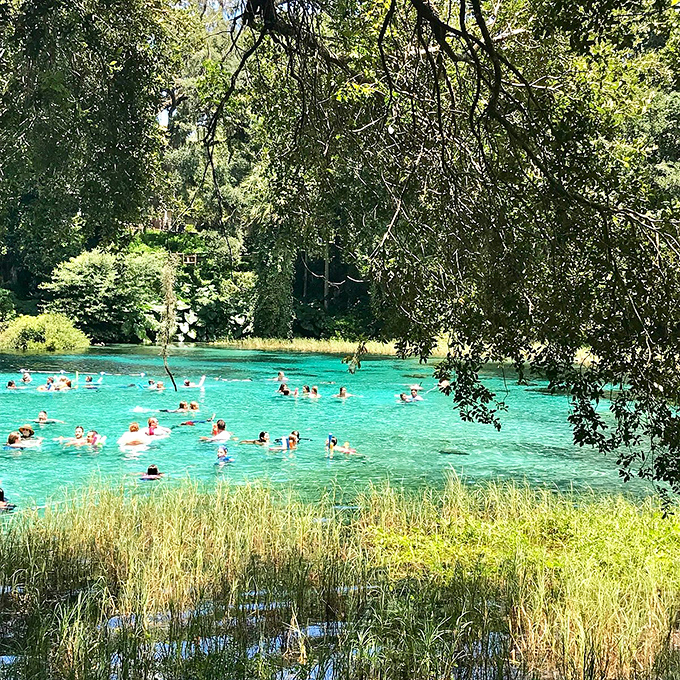 The headspring at Rainbow Springs invites swimmers into its 72-degree waters year-round, nature's perfect temperature control system at work.