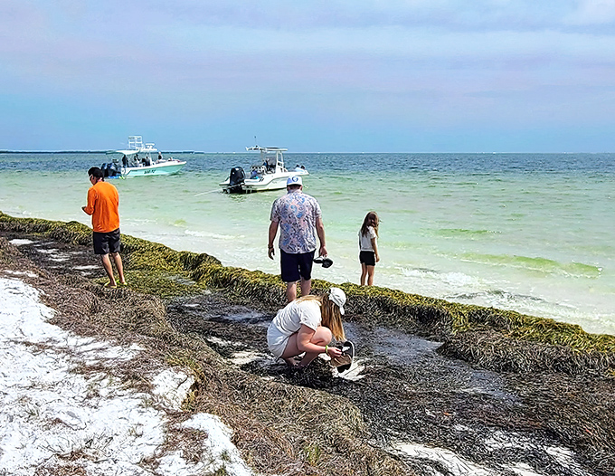 Beach treasure hunters explore the shoreline while boats hover offshore, everyone searching for their own piece of island magic.