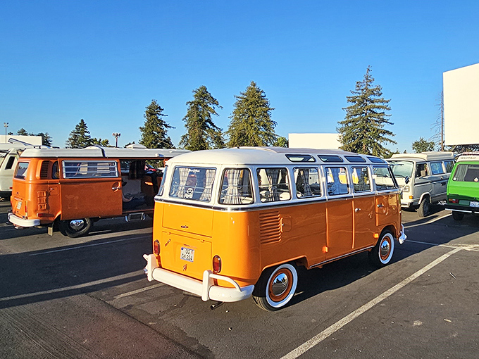 Vintage VW buses prove some vehicles were practically designed for drive-in movies. These rolling living rooms are the aristocracy of outdoor cinema seating.