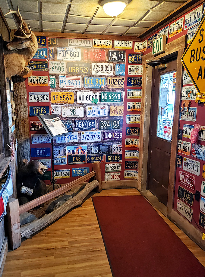 A wall of license plates that tells more stories than a library&mdash;each one representing a journey that ended deliciously.