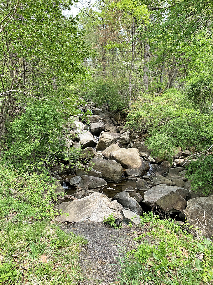 Nature's rock garden: water-smoothed boulders create a natural staircase for the persistent stream that carved this peaceful valley.