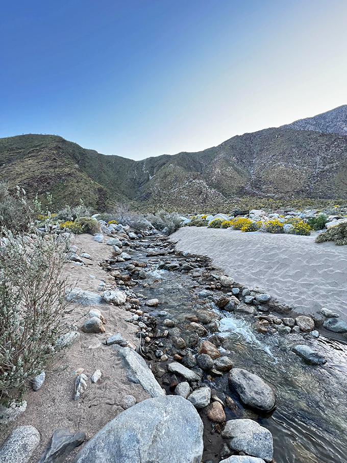 Desert oasis magic &ndash; where water performs its most impressive trick by simply existing. The soundtrack of flowing water never sounds better than in the desert.