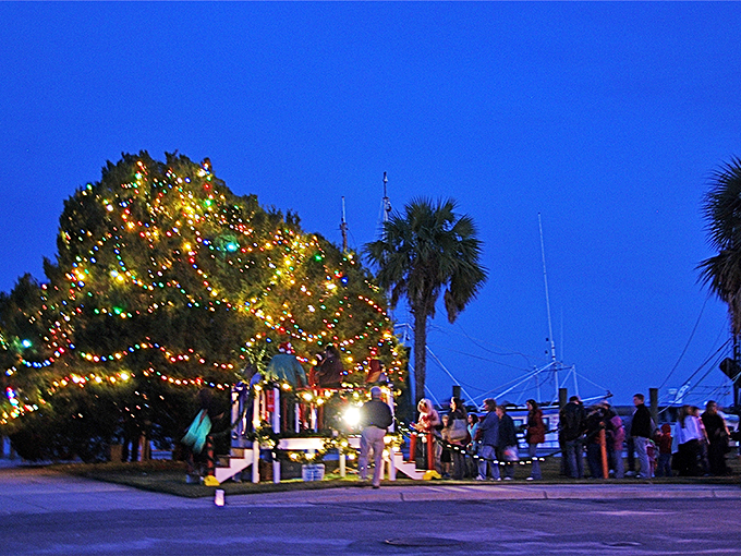 Even in winter, Apalachicola dresses for the holidays with twinkling lights that transform ordinary trees into extraordinary celebrations.
