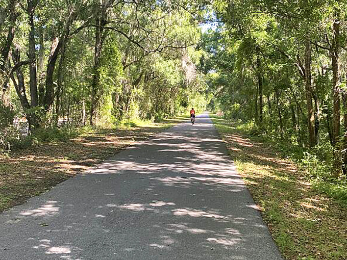 The Withlacoochee State Trail stretches into the distance, dappled sunlight creating nature's own version of a disco ball effect.