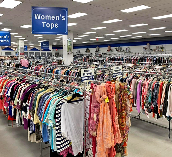 A sea of women's tops stretching to the horizon &ndash; organized by sleeve length and color for the serious thrift shopper who means business.
