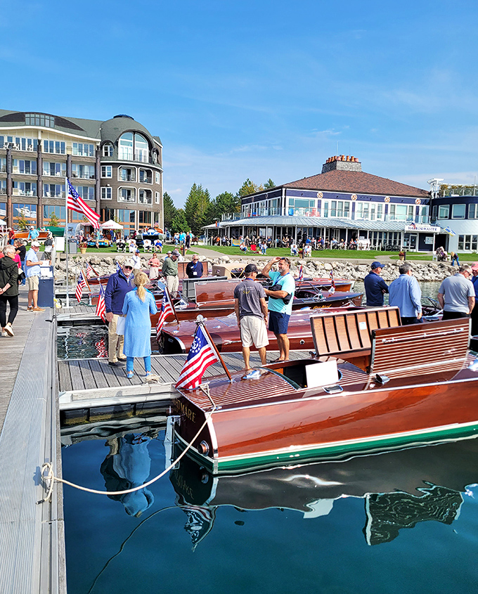 Classic wooden boats gleam with varnished perfection, drawing admirers to Petoskey's waterfront like moths to polished flame.