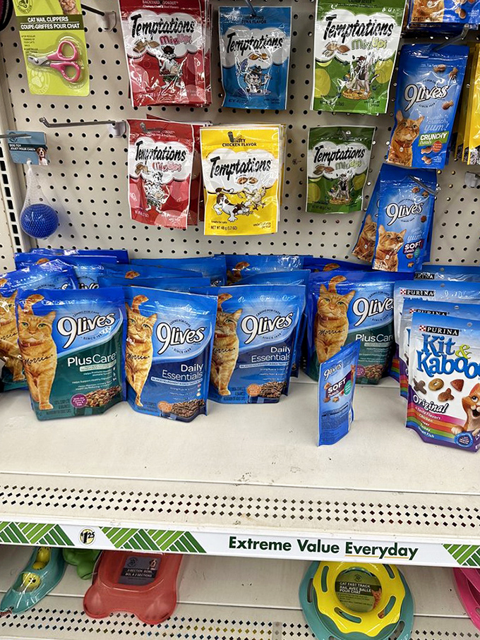 Pet treats that prove even our four-legged friends can enjoy budget-friendly indulgences. Fido and Fluffy won't know the difference.