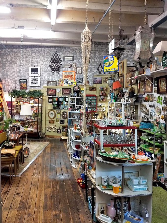 A macramé plant hanger dangles above shelves of colorful treasures, creating a vignette that feels like walking into your coolest relative's perfectly preserved 1970s apartment.