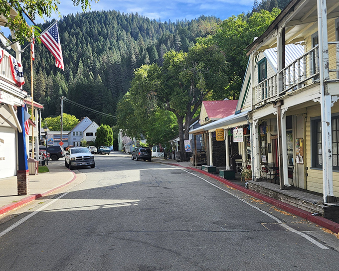 Downieville's main drag isn't just a street &ndash; it's an open-air museum where every building tells a story and every porch invites a conversation.