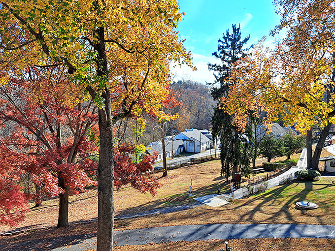 Fall foliage here makes those New England states nervous &ndash; Delaware's got some serious autumn game, folks.