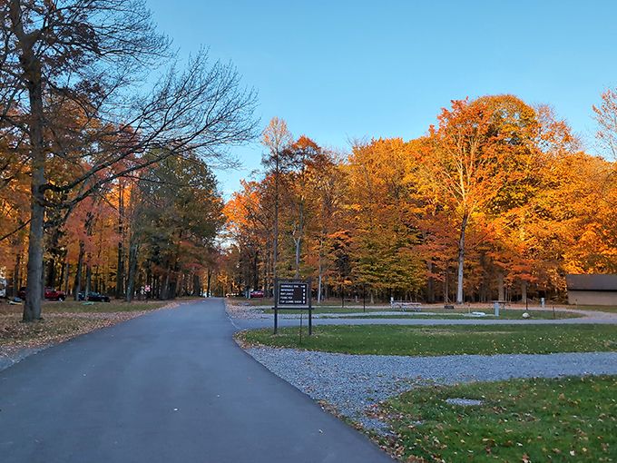 Autumn paints Pymatuning's winding roads with a palette that makes New England leaf-peepers secretly jealous. No filter needed here.