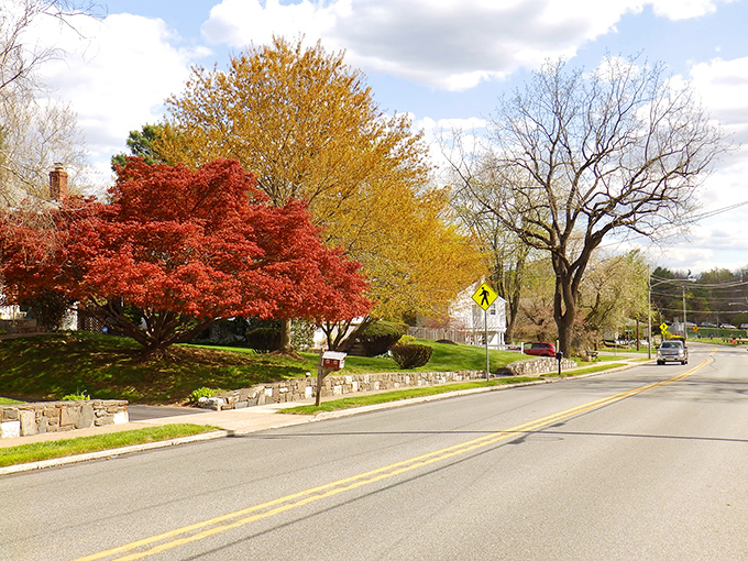 Fall paints Conshohocken's streets with nature's most vibrant palette, turning an ordinary commute into a drive through living artwork.