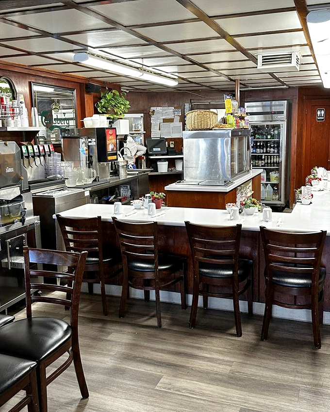 Counter seating: where solo diners become breakfast philosophers and the staff treats you like the regular you're about to become.