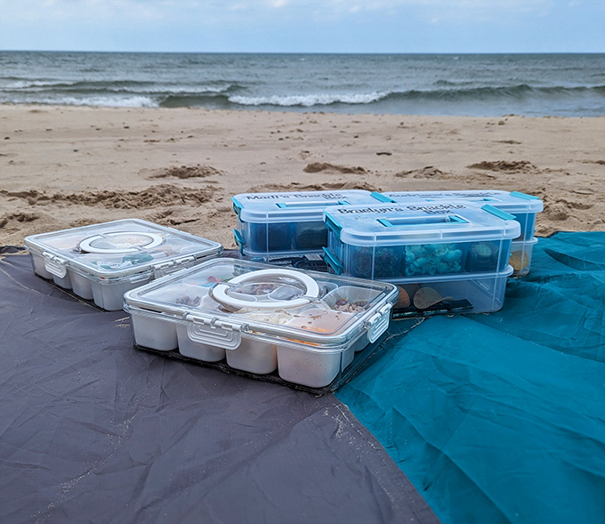Beach picnics: where food somehow tastes better with a soundtrack of waves and a light seasoning of sand.