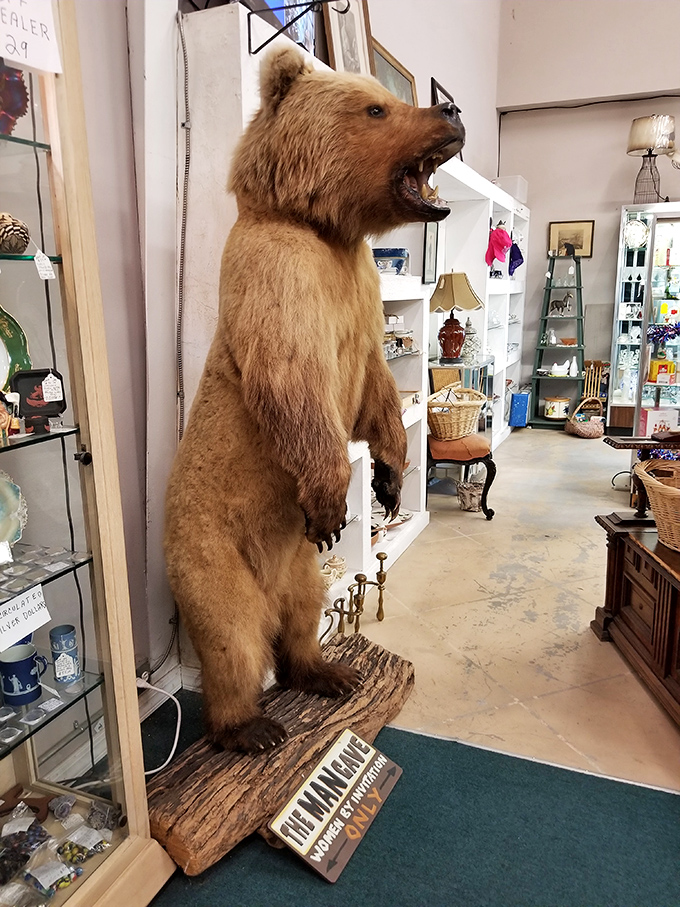 The taxidermy bear that's seen things. He's not just decoration &ndash; he's the unofficial greeter and conversation starter for every first-time visitor.