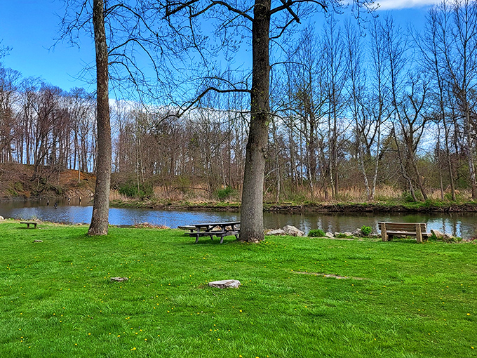 Riverside relaxation stations. These picnic tables have witnessed more family debates about potato salad than any therapist.