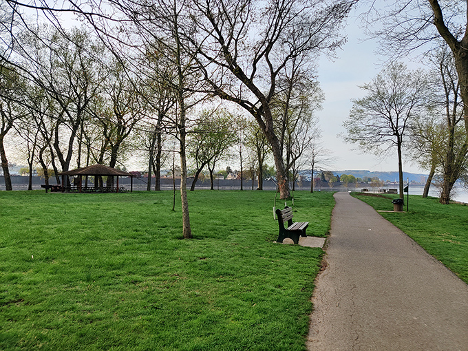 Strategic bench placement proves that park planners understand the true purpose of outdoor seating: admiring nature while resting weary legs.